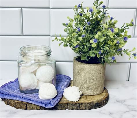 Diy Garbage Disposal Cleaner Tabs