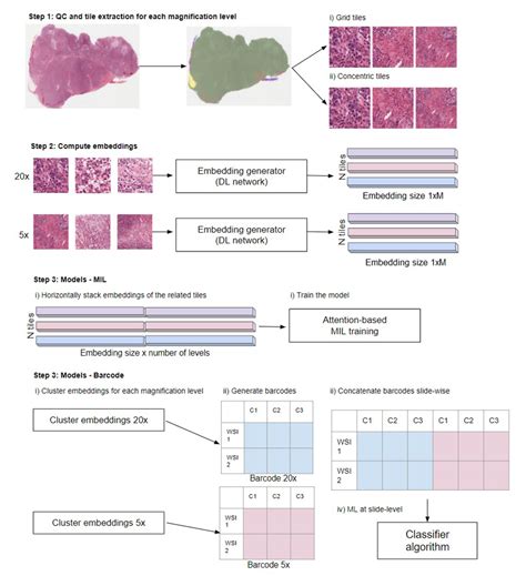 Figure 2 From A Comparison Between Single And Multi Scale Approaches