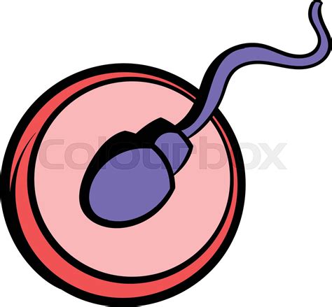 Human Sperm Cell Icon Icon Cartoon Stock Vector Colourbox