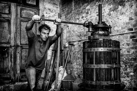 La Storia Del Vino In Breve Vinoteca ALDI