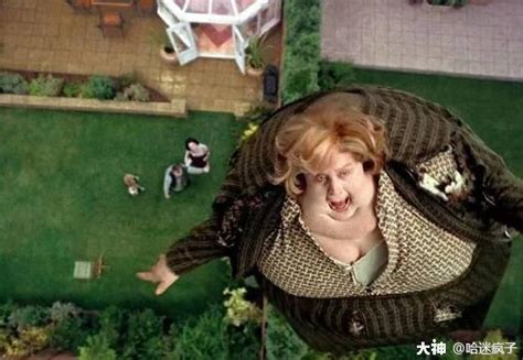 27年前的今天，玛姬姑妈在晚餐时羞辱了哈利的父母，哈利大怒，意外地将她吹胀。随后 来自网易大神哈利波特魔法觉醒圈子 哈迷疯子