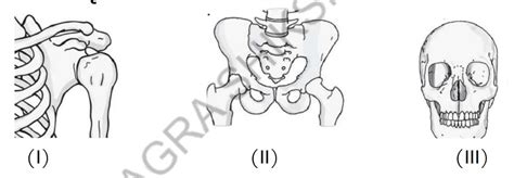 Std 6 Science Chapter 5 Mcq Gujarati ધોરણ 6 વિજ્ઞાન પાઠ 5 Mcq