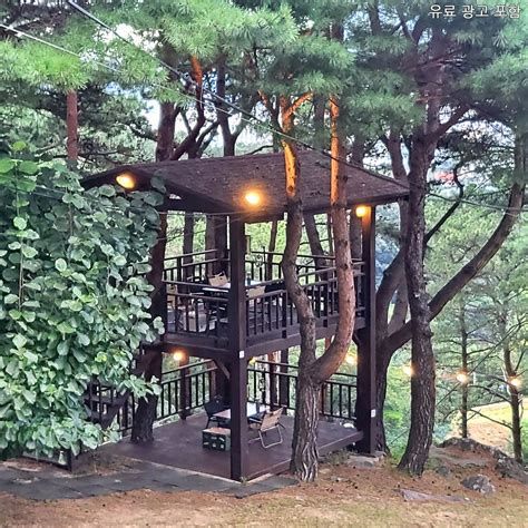 울산여행 양산에 새로생긴 숲세권캠핑st 피크닉카페 울창한 소나무숲 안에 있는 으리으리한 대형카페는