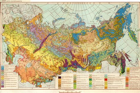 Почвенная карта россии онлайн