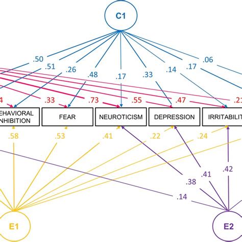 Tripartite Twin Common Pathway Model It Contains Six Common Shared