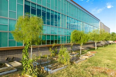 Phoenix Coding Academy Rankings And Reviews