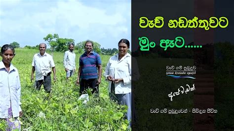 වැව් නඩත්තුවට මුං ඇට Youtube