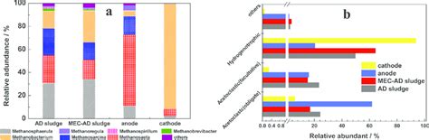 A Relative Abundance Of Methanogens B Taxonomy Of Methanogens And Download Scientific