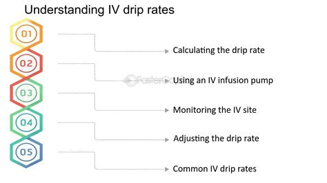 Iv Flow Rate Chart Visual Representation Of Flow Rates Through Various