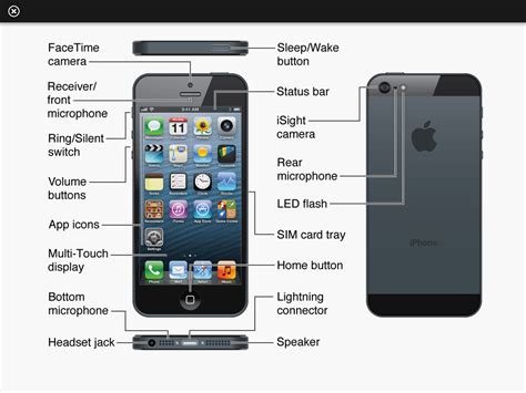 Phone Camera Parts And Functions At Everett Reynolds Blog