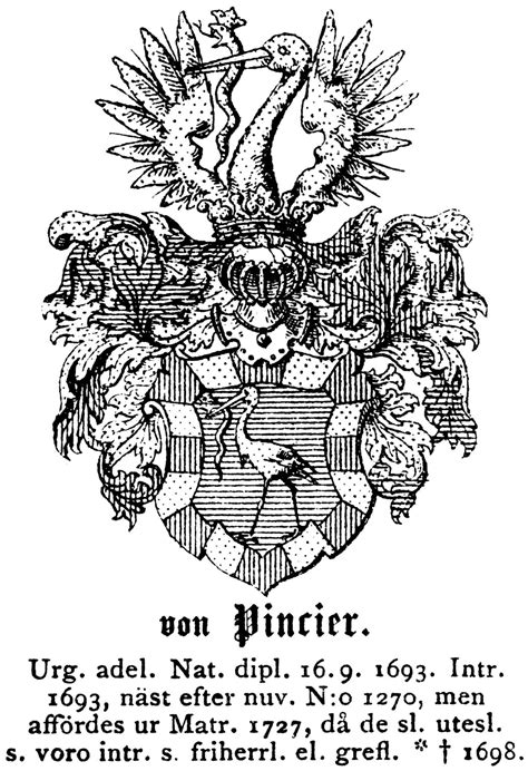 Pincier Minerva