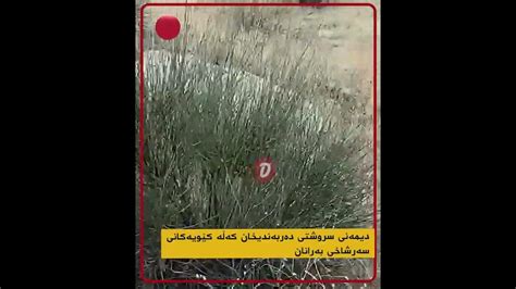 دیمەنی سروشتی دەربەندیخان کەڵە کێویەکانی سەرشاخی بەرانان Youtube