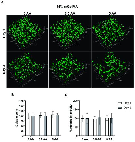 Viability Of Human Keratocytes Hk Loaded In 15 Mgelma Hydrogels A
