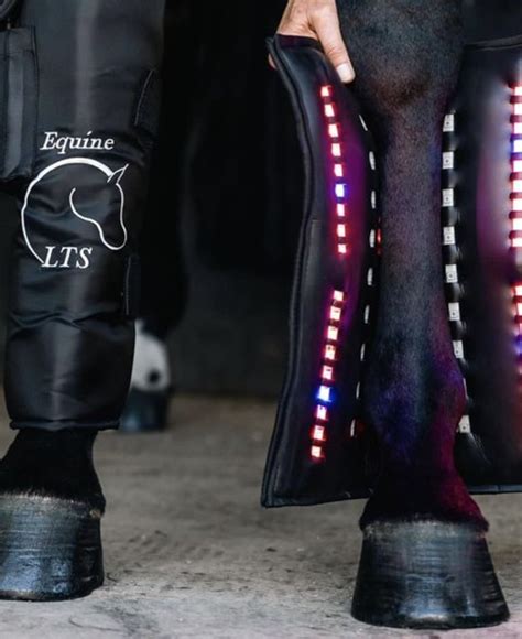 Equine Lts — Stride Equine