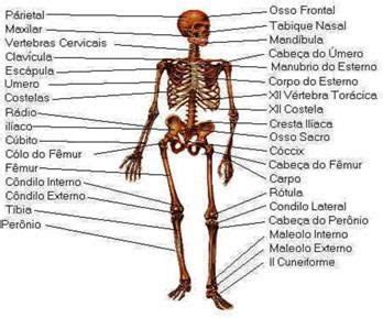 Pin On Terapia