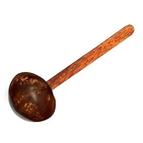 Coconut Shell Spoon Coconut Shell Ladle Trader Wholesaler