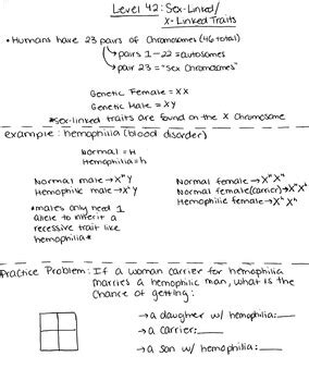Filled Sex Linked X Linked Traits PowerNotes By My Biology Classroom