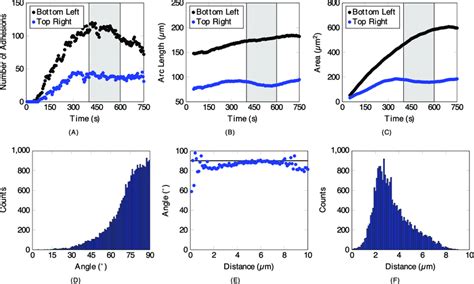Dynamic Information And Distribution Analysis From Wavelet Analysis