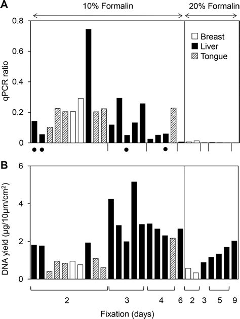 Dna Quality And Quantity Of Various Clinical Diagnostic Ffpe Tissues
