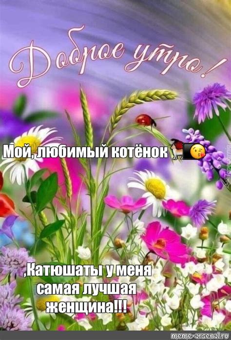 Сomics meme Мой любимый котёнок Катюша ты у меня самая лучшая