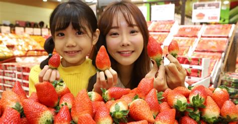 롯데마트 딸기의 왕 킹스베리 판매