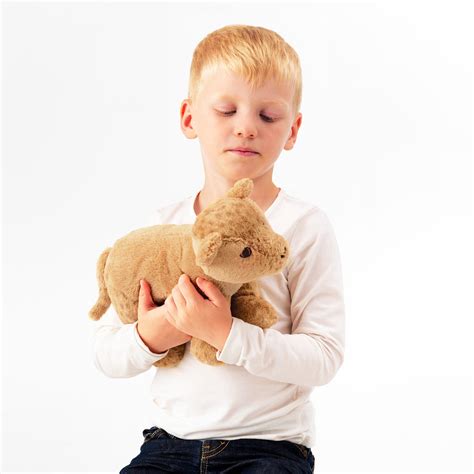 Lion Cub Soft Toy