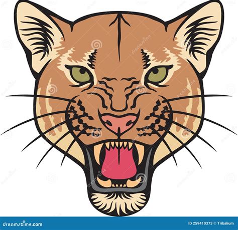Cougar Face Color Vector Stock Illustration Illustration Of Predator