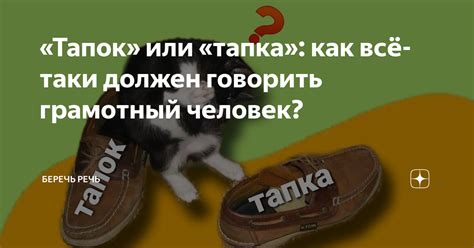 «Тапок или «тапка как всё таки должен говорить грамотный человек Беречь речь Дзен