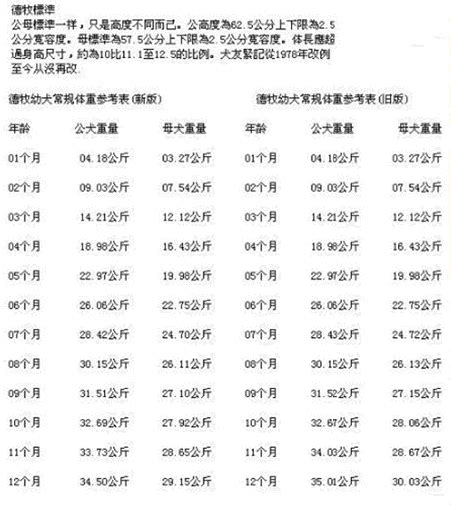 德牧标准体重身高表图德牧体型标准图 伤感说说吧