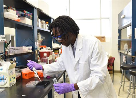 materials science and engineering programs drexel engineering