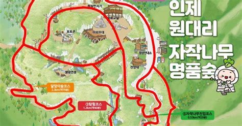 한파 속 통제된 인제 자작나무숲 내일부터 부분 개방