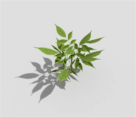 낮은 폴리 플랜트 3d 모델 5 3ds Blend Dae Fbx Obj Free3d