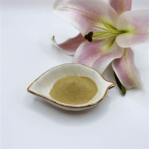 China Amino Acid 50 Amino Acids Plant Fertilizer Manufacturers And