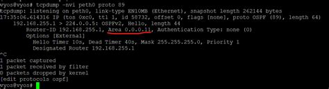 OSPF W Fortigate General Questions VyOS Forums