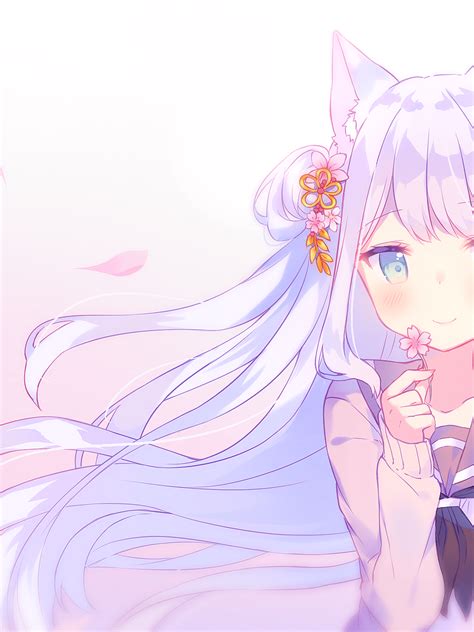 Cute Anime Cat Girl Wallpapers Top Free Cute Anime Cat Girl Backgrounds Wallpaperaccess
