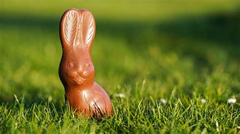 Cacao Duurder Dan Ooit Meer Geld Voor Minder Chocolade L1 Nieuws
