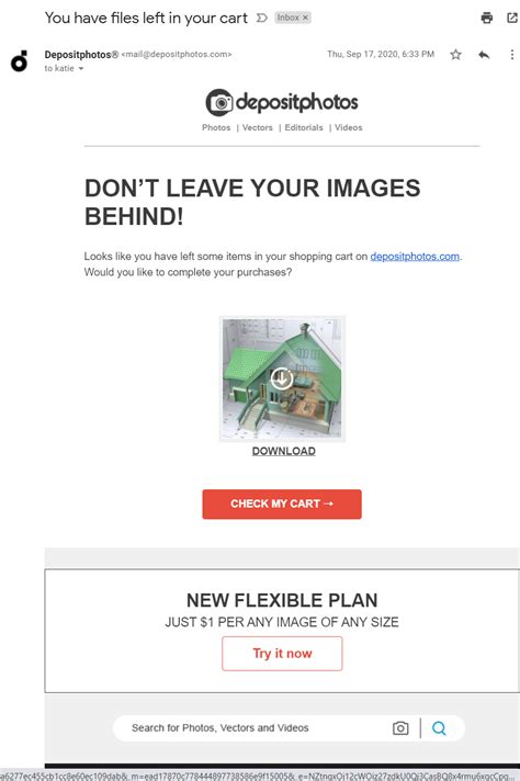 Abandoned Cart Emails Tips Examples