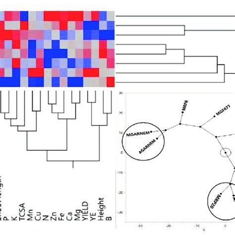 hierarchical agglomerative cluster analysis and constellation plot for