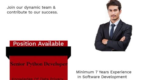 senior python developer