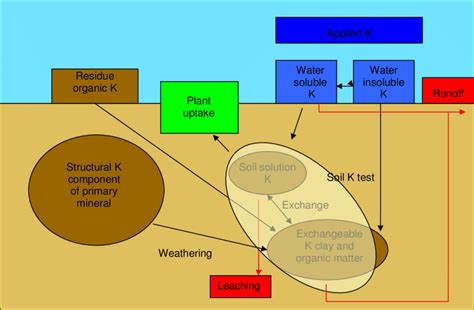 The K Cycle In Agricultural Systems Download Scientific Diagram