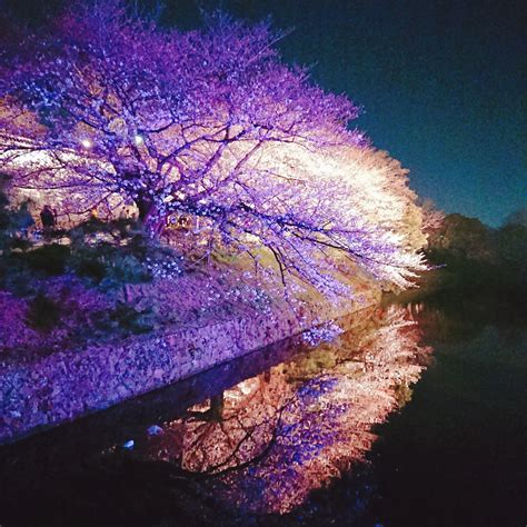 Hitohata