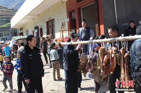 镇雄头屯村支书周勇云南镇雄中屯柳林常帅镇雄小二大山谷图库