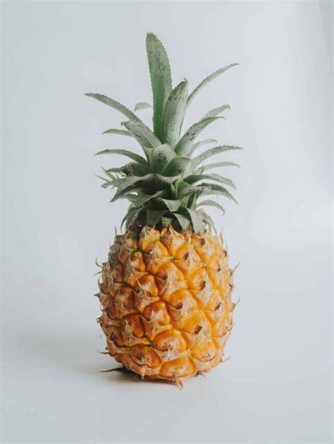 Is Pineapple Low Fodmap Nosh Nourish Wander