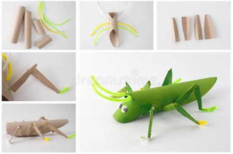 Tutorial For Making A Grasshopper Craft From A Cardboard Tube Pipe