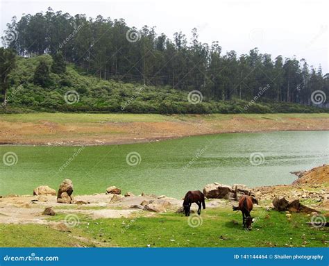 Pykara Lake Is A Popular Getaway That Is At A Distance Of About 20