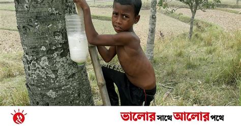 সম্প্রতি একদিন গ্রামের বাইরে একটি কান্নাওয়ালা বাঁশ বাঁধা একটি উঁচু