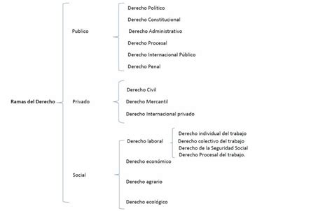 Edita Y Descarga Gratis Cuadros Resumen De Las Ramas Del Derecho
