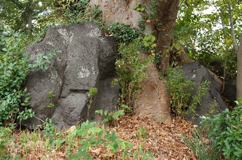 JR三島駅前 そこは溶岩流の終着駅 弁護士永野海防災いろとりどり