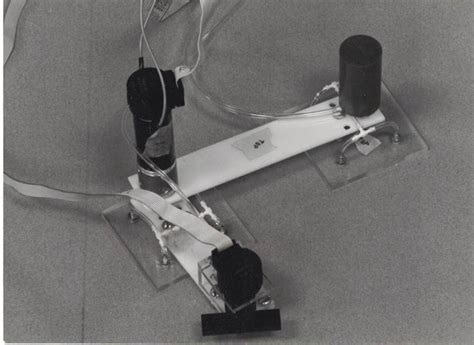 Biomimetic Millisystems Lab