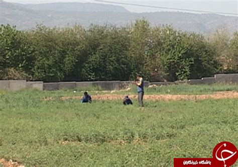 کاشت ارقام اصلاح شده نخود در لرستان تغییر سیستم کشت از بهار به پاییزه